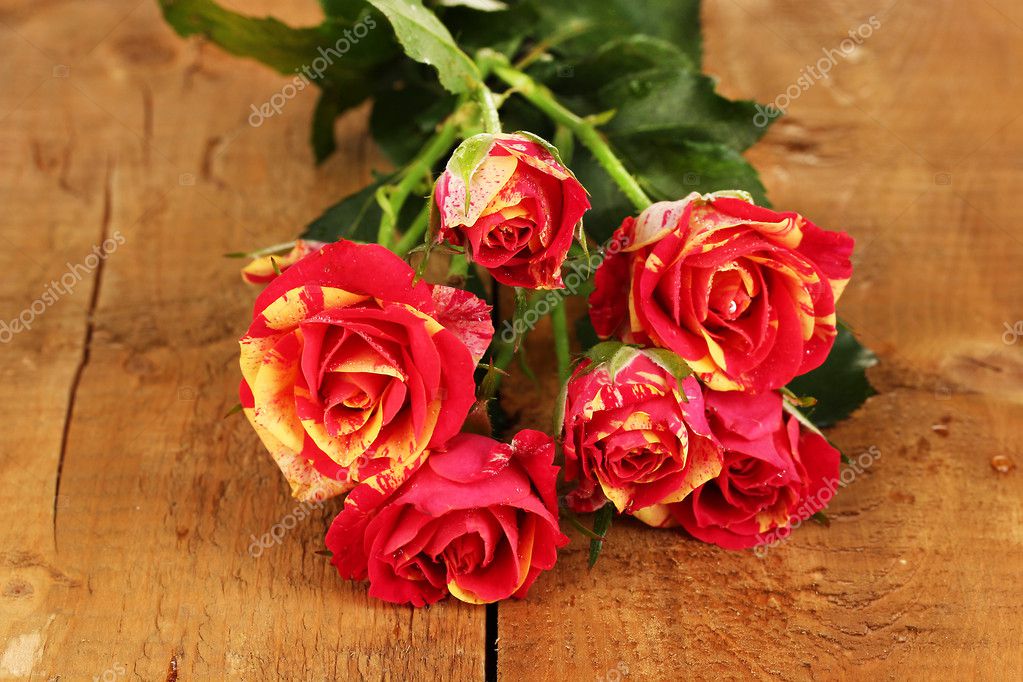 Beautiful red-yellow roses on wooden background close-up — Stock Photo ...