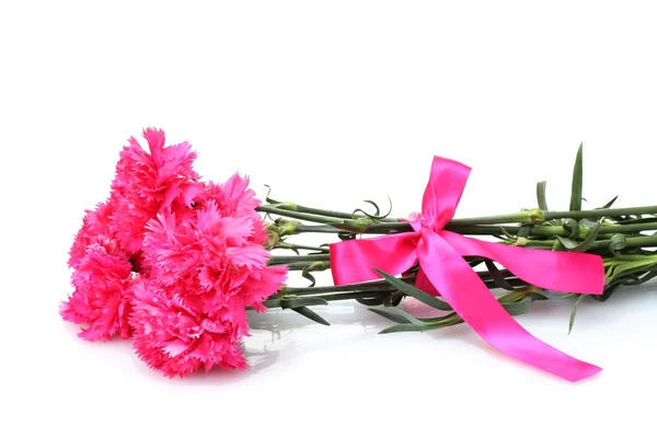 Claveles rosados fotos de stock, imágenes de Claveles rosados sin ...