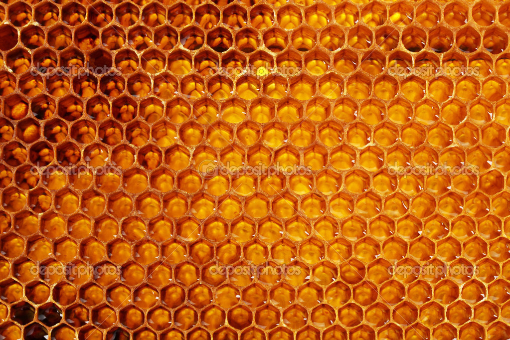 Yellow beautiful honeycomb with honey, background Stock Photo by ...