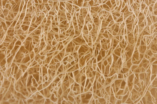 Loofah background Stock Photo by ©belchonock 17593353