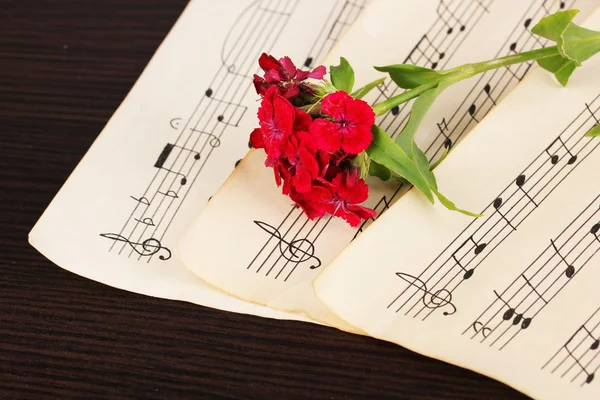 Musical notes and flower on wooden table Stock Photo by ©belchonock ...