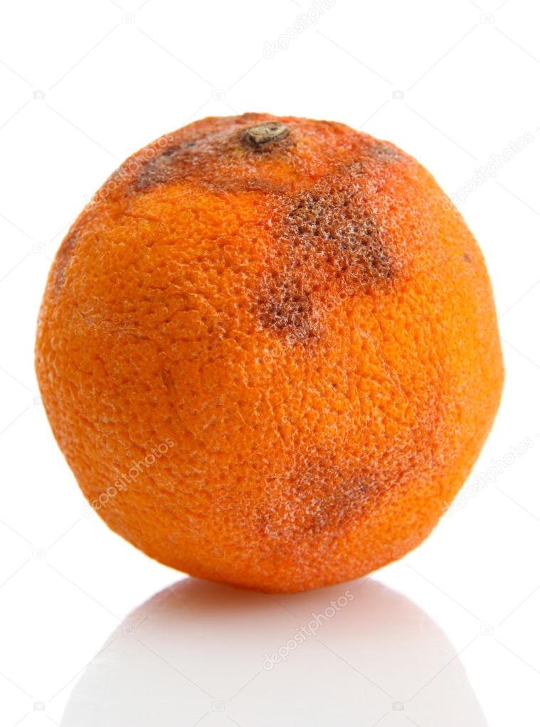 Rotten orange isolated on white Stock Photo by ©belchonock 14081437