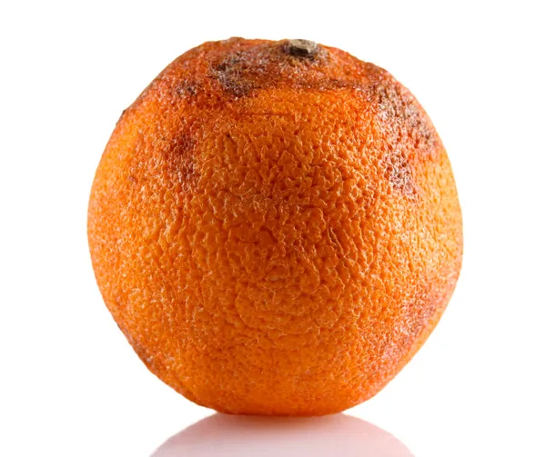 Rotten orange Stock Photos, Royalty Free Rotten orange Images ...