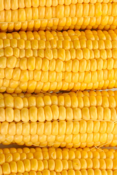 Corn close up Stock Photos, Royalty Free Corn close up Images ...