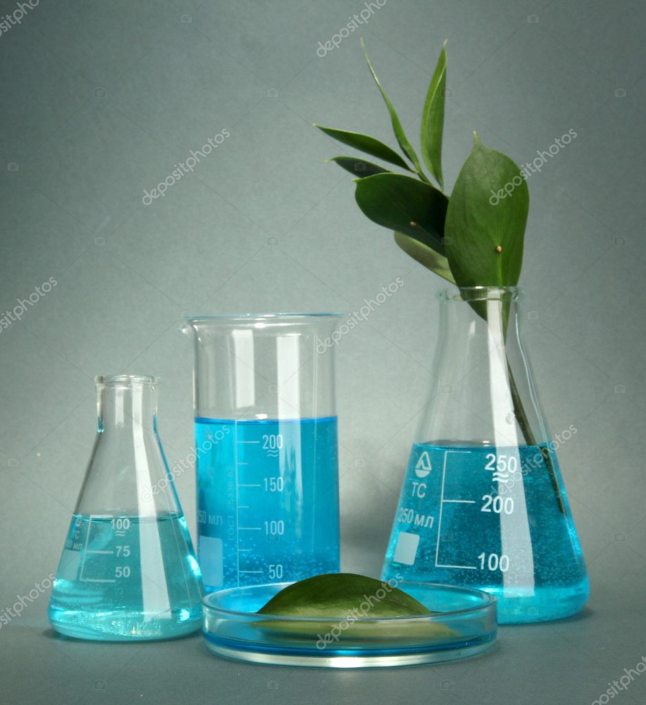 Test-tubes and leaf tested in petri dish on grey background Stock Photo ...