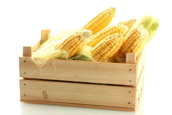 Fresh corn in wooden box, isolated on white — Stock Photo © belchonock ...