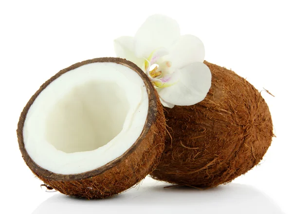 Fotos de Coco com flor, Imagens de Coco com flor sem royalties ...