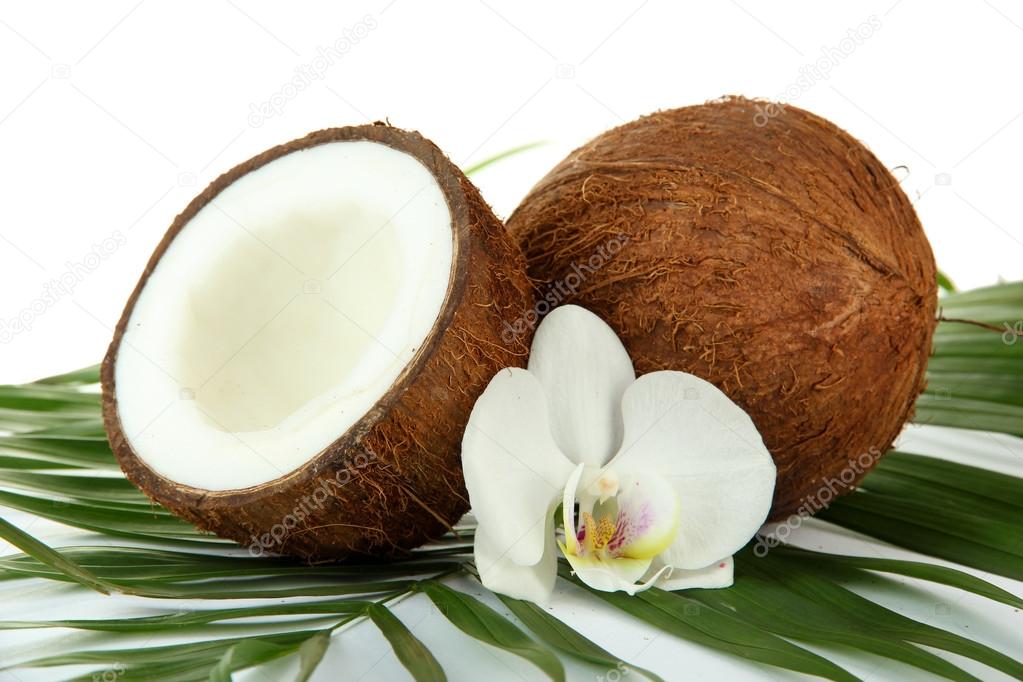 Cocos con hojas y flores, aislados sobre blanco 2024