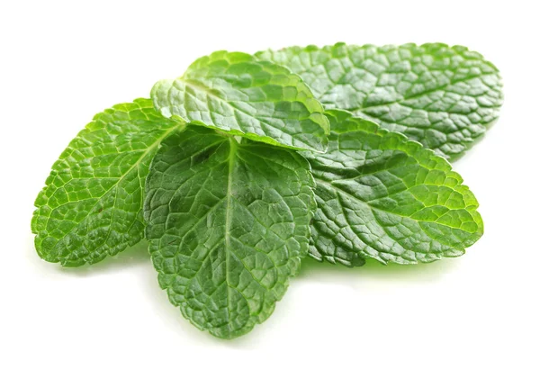 Mint plus Stock Photos, Royalty Free Mint plus Images | Depositphotos