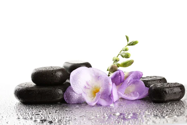 Purple Spa Backgrounds