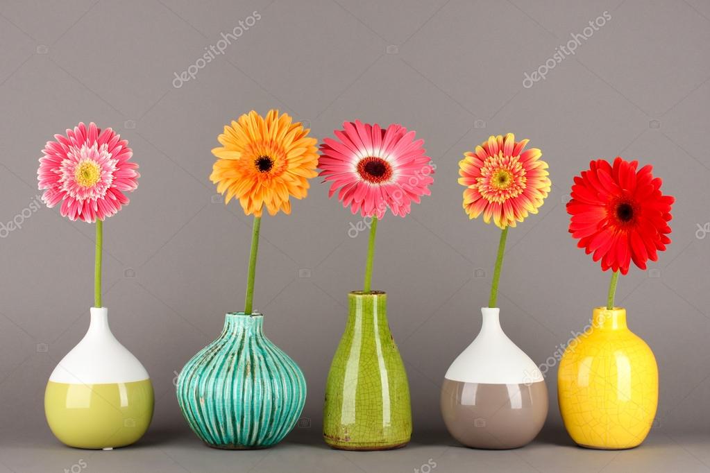 Hermosas flores Gerber sobre fondo gris 2023