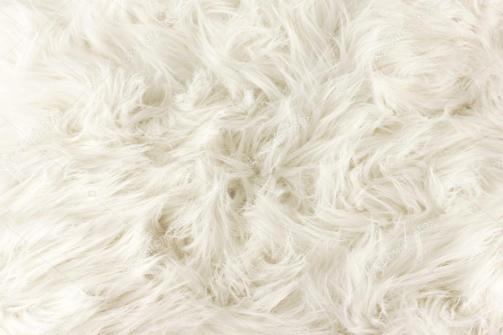 White fur texture, close-up.Useful as background — Stock Photo ...