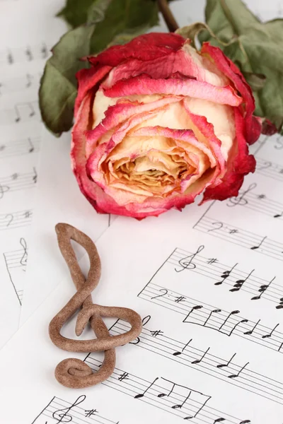 Treble clef and roses on musical background — Stock Photo © belchonock ...