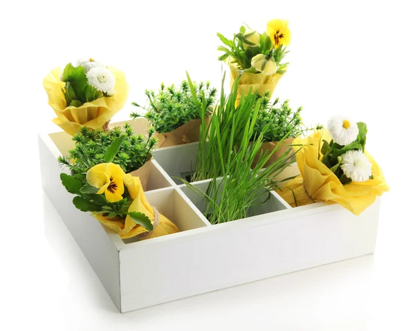 Spring flower box Stock Photos, Royalty Free Spring flower box Images ...