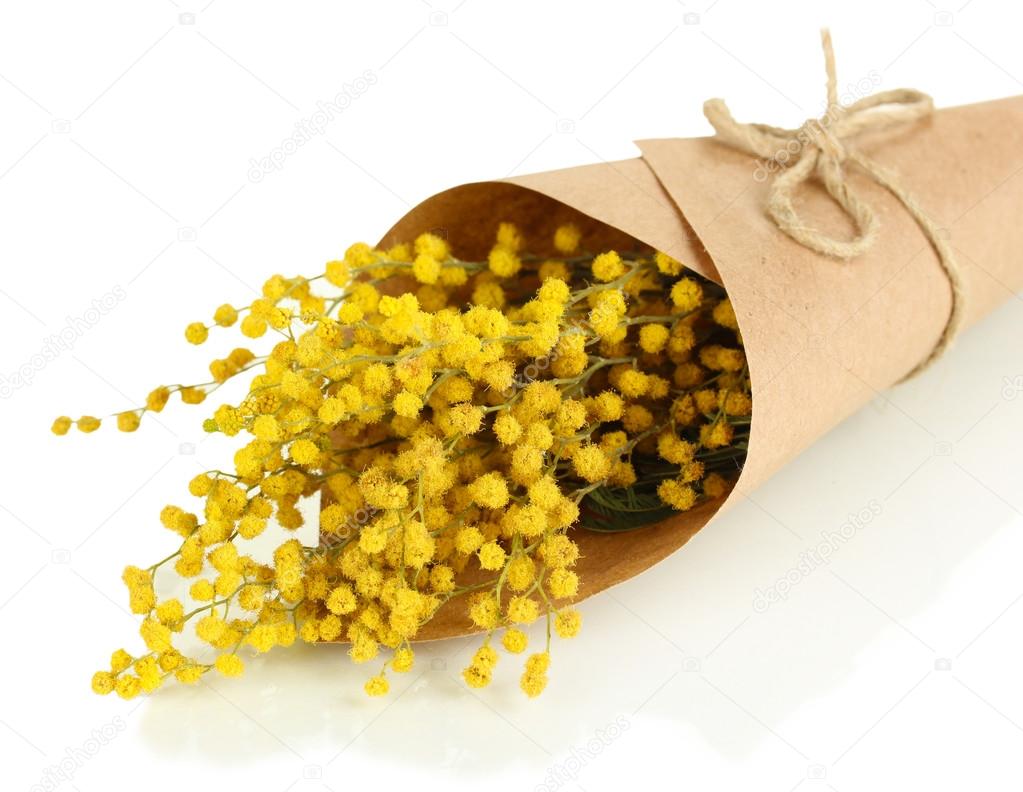 Bouquet of mimosa flowers, isolated on white — Stock Photo © belchonock ...