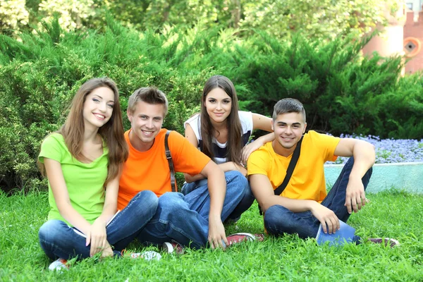 Happy group of young beautiful people sitting on meadow - Stock Image ...
