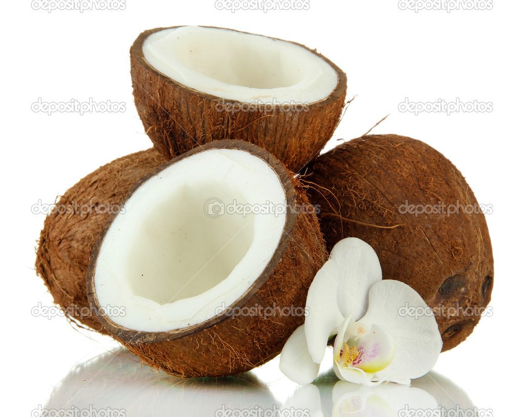 Cocos con flor, aislados en blanco 2024