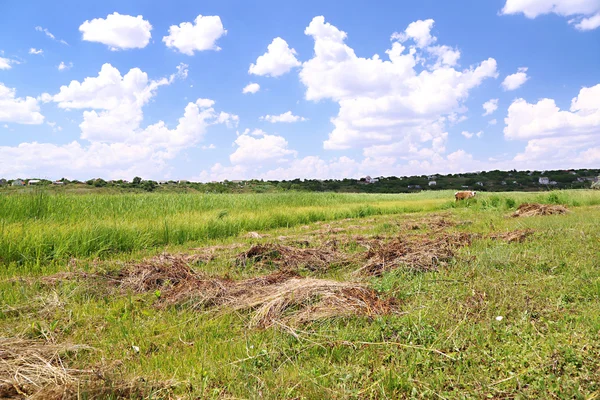 Land purchase Stock Photos, Royalty Free Land purchase Images ...