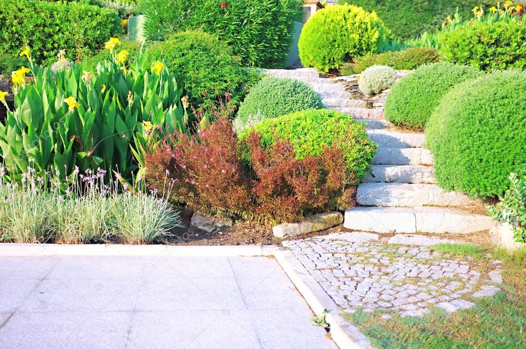 Landscaping in the garden — Stock Photo © belchonock #29669699