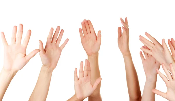 Group of young 's hands isolated on white Stock Photo by ©belchonock ...