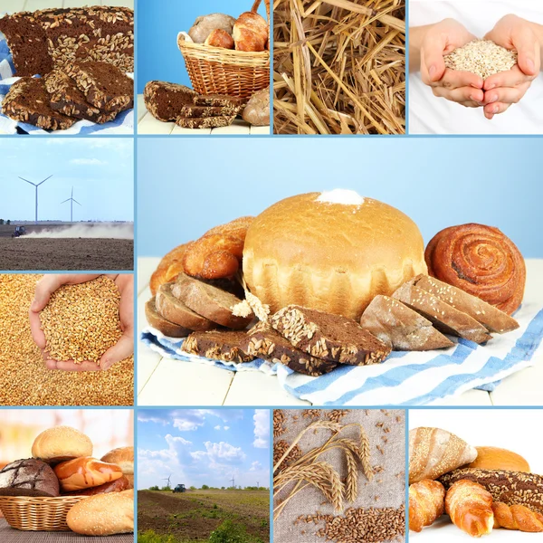 Fresh bread food group — Stock Photo © .shock #4860194