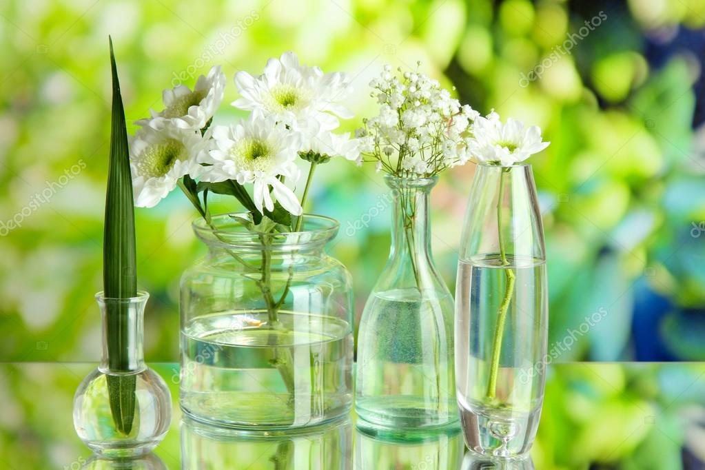 Plants in various glass containers on natural background Stock Photo by ...