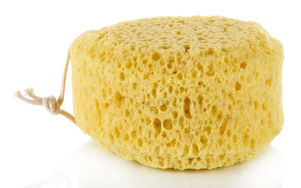 Sponge Stock Photos, Royalty Free Sponge Images | Depositphotos