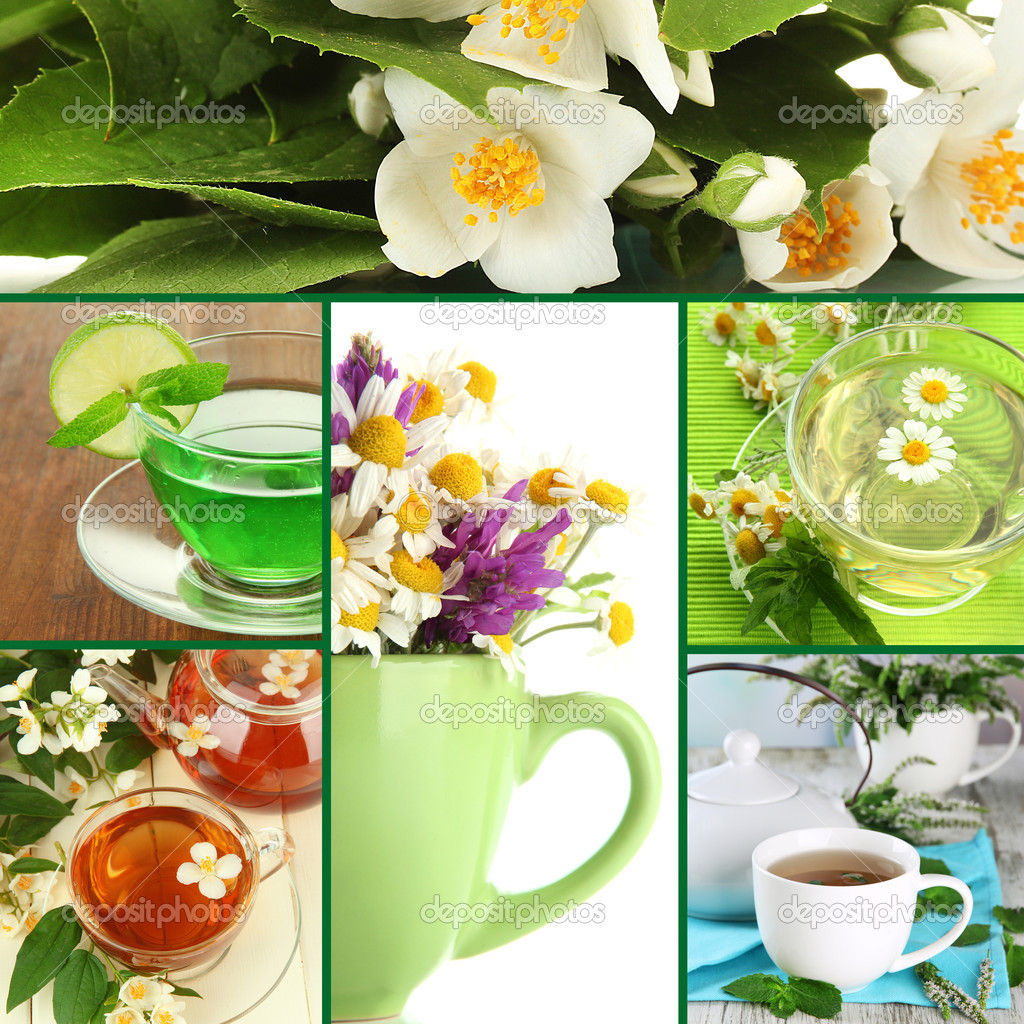 Collage of healthy green tea — Stock Photo © belchonock #35689805