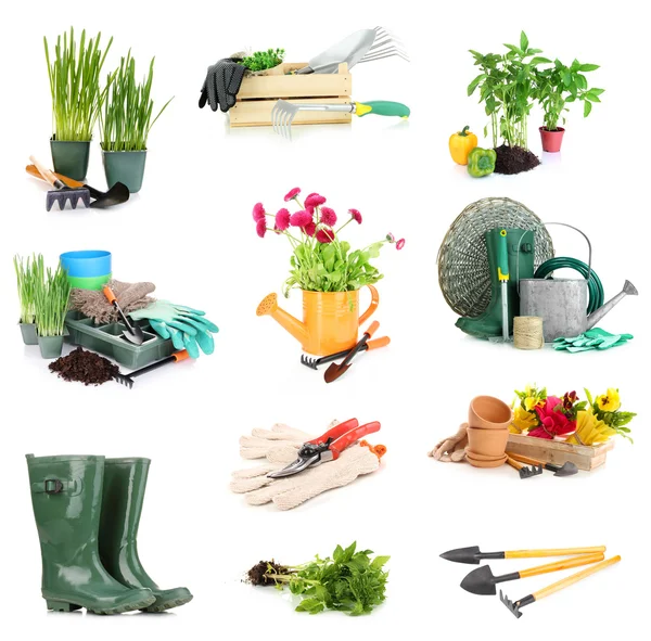 Gardening equipment Stock Photos, Royalty Free Gardening equipment ...