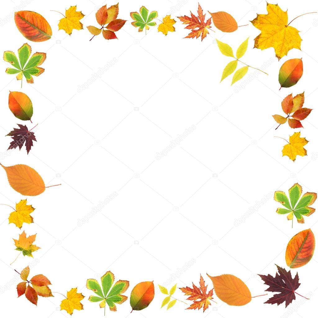 Frame of beautiful colored autumn leaves isolated on white — Stock ...