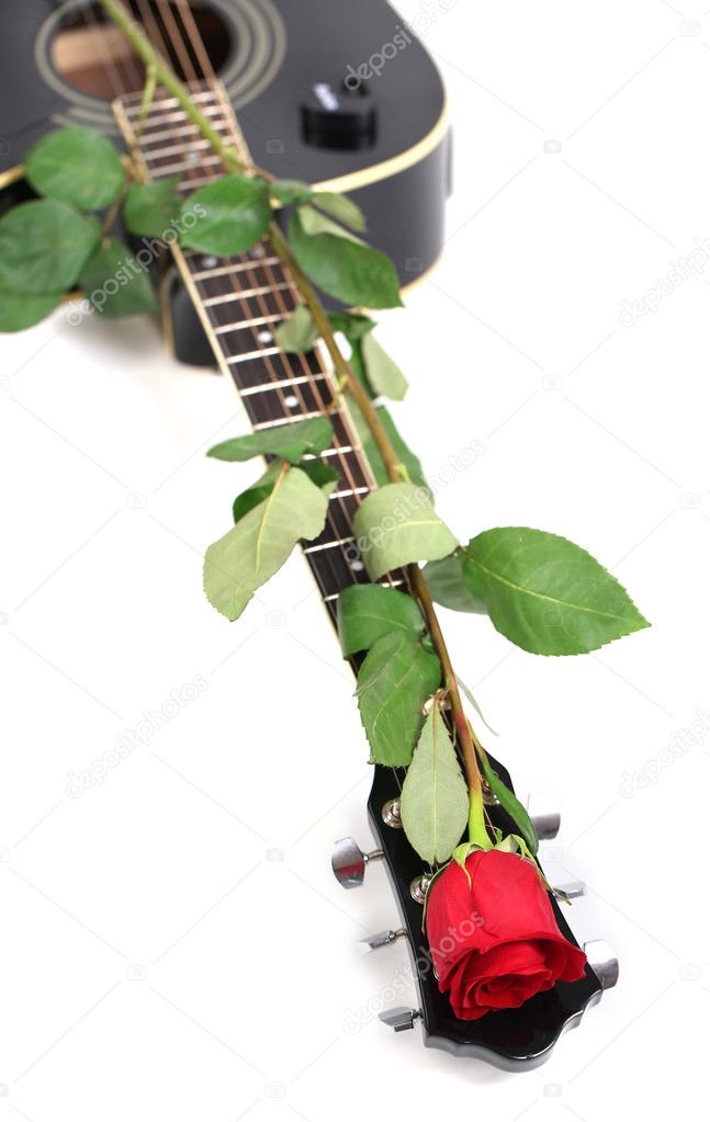 Acoustic guitar and red rose flower, isolated on white — Stock Photo ...