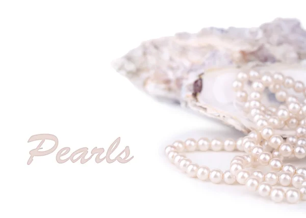 Big pearl in an oyster shell and small pearls — Stock Photo © vanazi ...