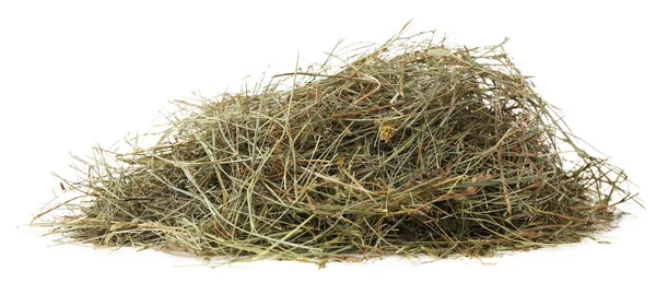 Hay and Stockfotos, lizenzfreie Hay and Bilder | Depositphotos