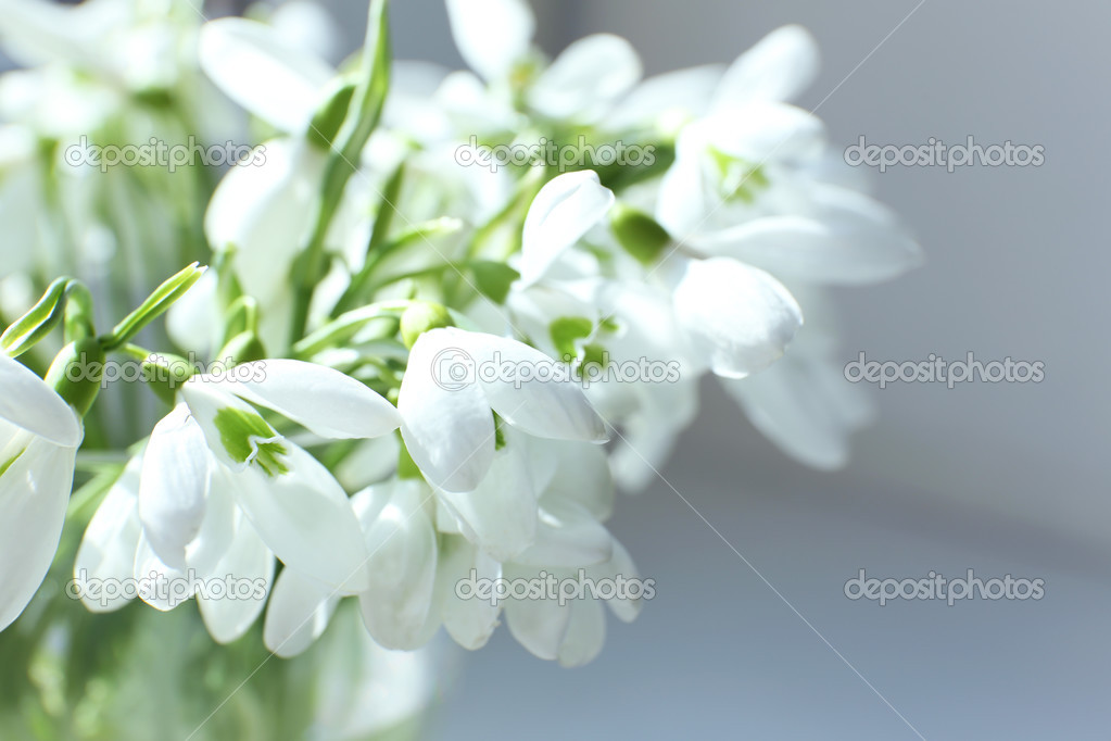 Beautiful bouquets of snowdrops in vases on windowsill — Stock Photo ...