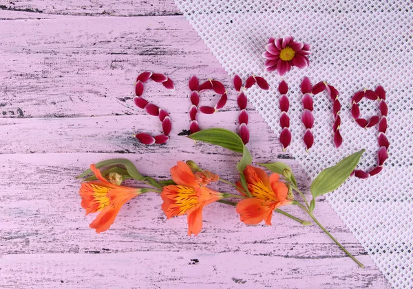 Spring wallpaper Stock Photos, Royalty Free Spring wallpaper Images ...