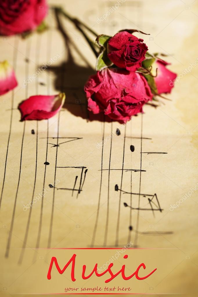 Beautiful pink dried roses on old paper with notes — Stock Photo ...