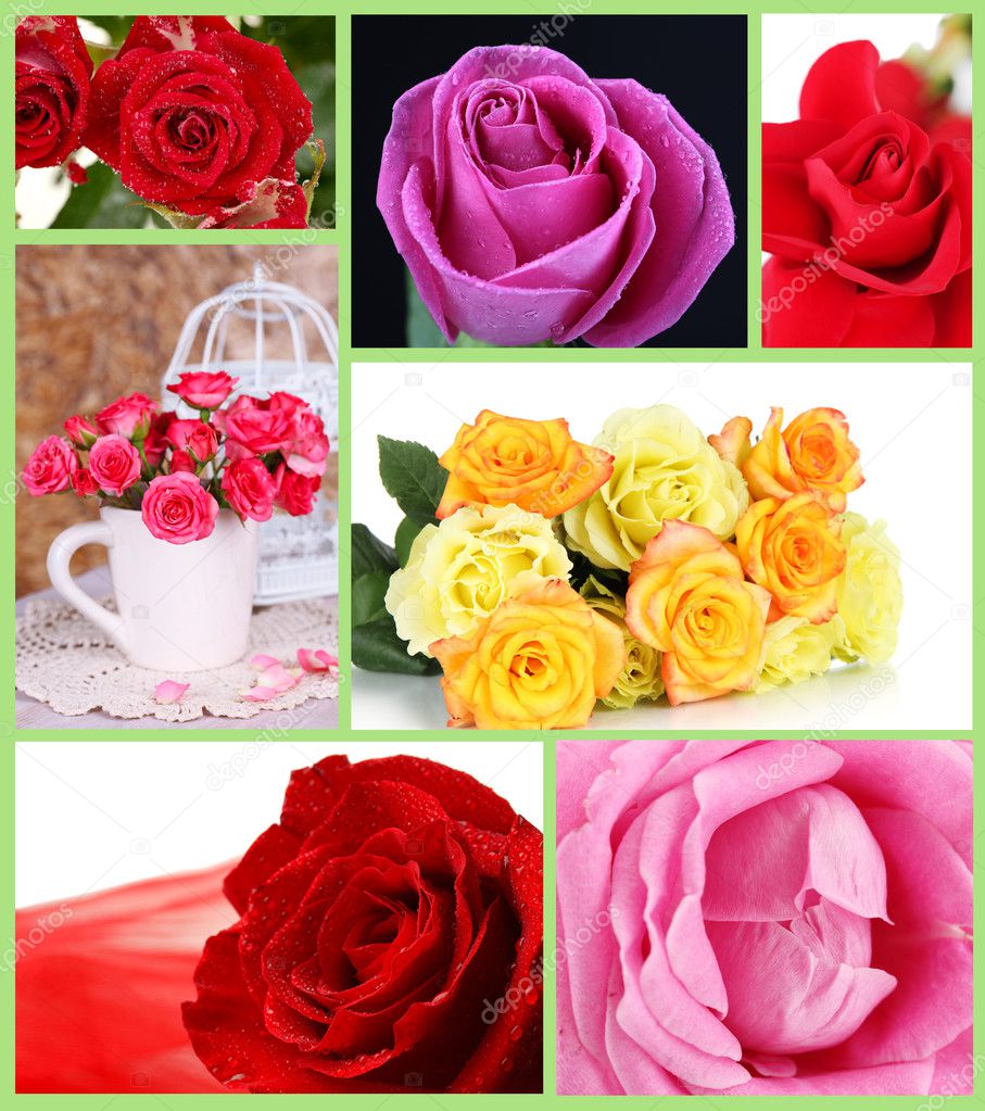 Beautiful roses collage — Stock Photo © belchonock #46301727