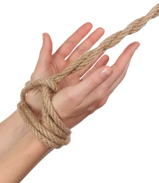 Tied hands, isolated white — Stock Photo © belchonock #49454029