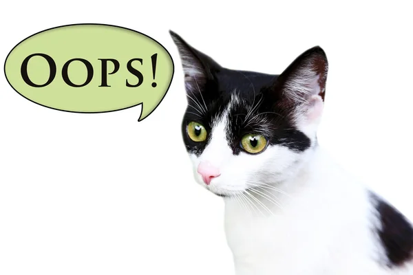 Oups Stock Photos, Royalty Free Oups Images | Depositphotos®