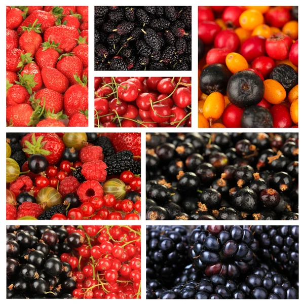 Collage of berries close-up — Stock Photo © belchonock #48712541
