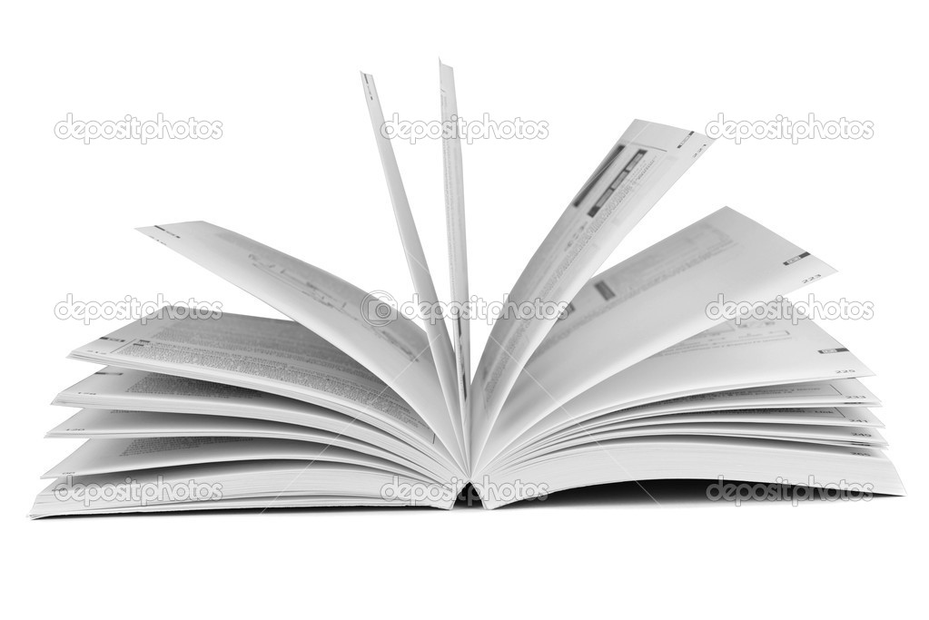 Blank book on light gray background — Stock Photo © belchonock #48900797