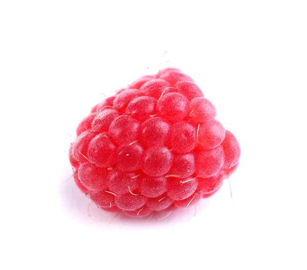 Big raspberry — Stock Photo © gbh007 #1647288