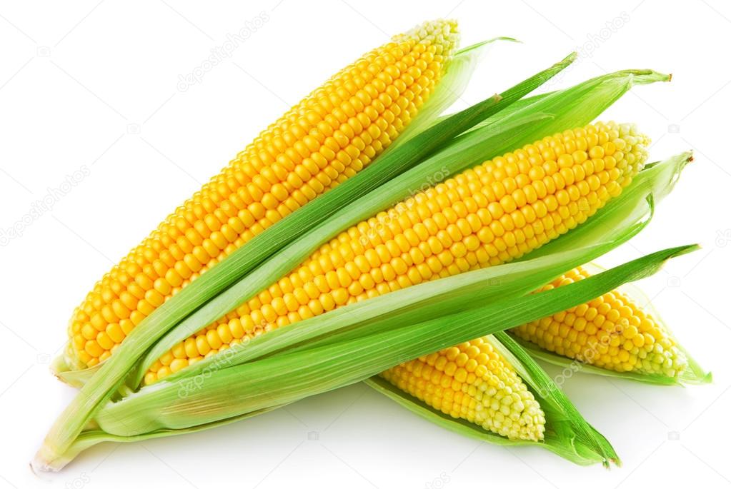 Corn isolated on a white background Stock Photo by ©Photomyheart 29819843