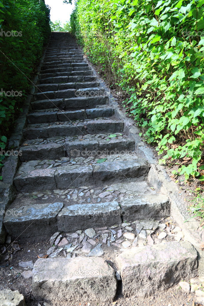 Concrete stairs in the jungle — Stock Photo © Anetlanda #26481547
