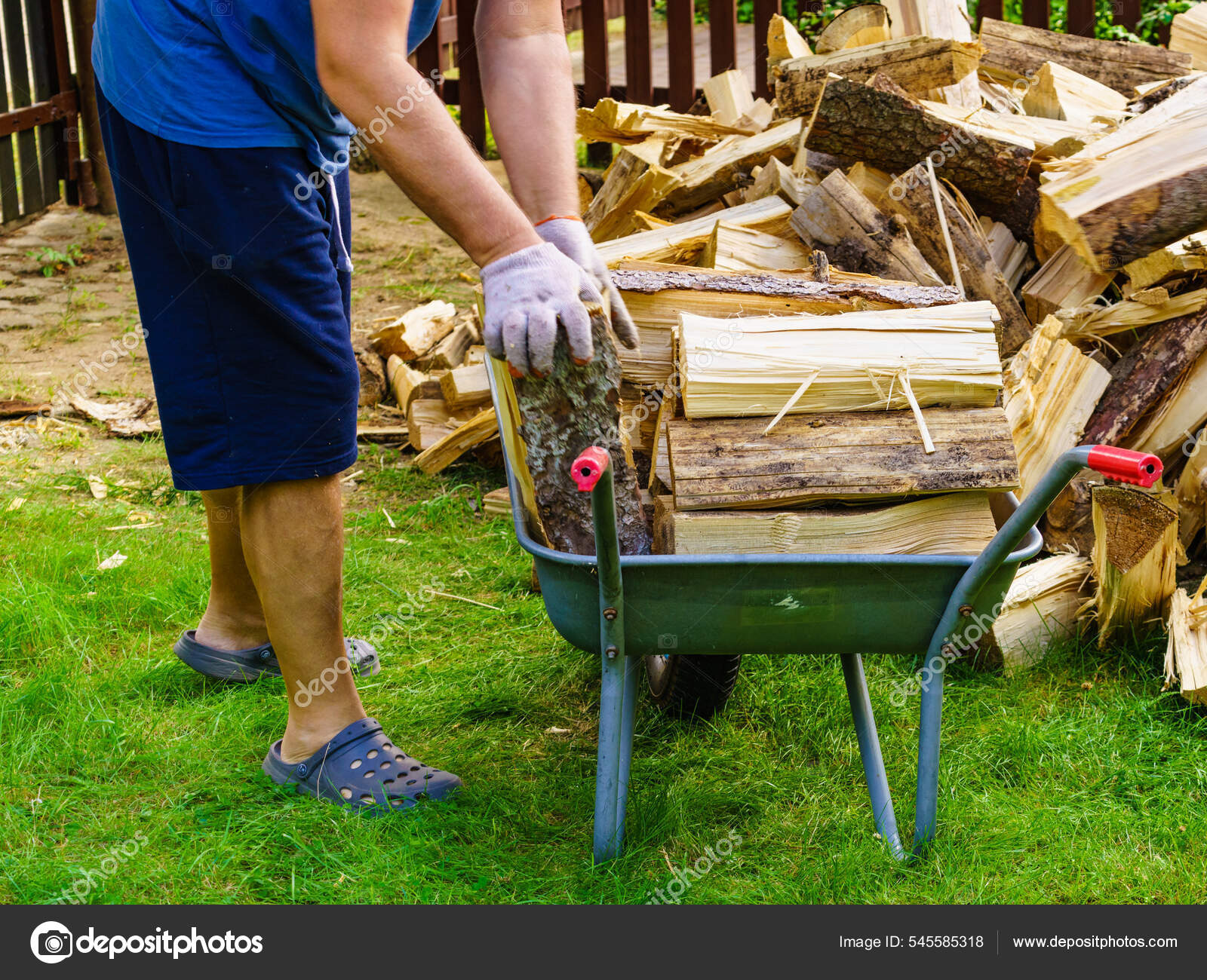 Man Loading Firewood Wheelbarrow Preparation Winter Stock Photo by ...