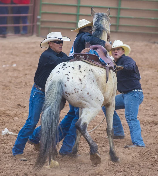 30,000,000+ imágenes de Vaqueros libres de derechos | Depositphotos
