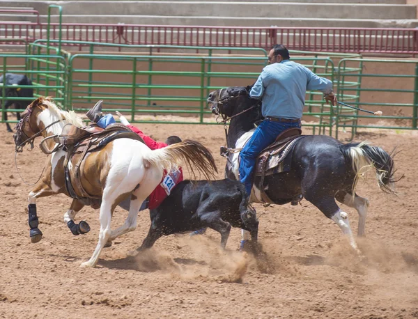 Horse fighting Stock Photos, Royalty Free Horse fighting Images ...