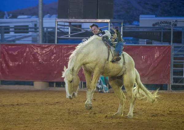 The Clark County Fair and Rodeo - Stock Image - Everypixel