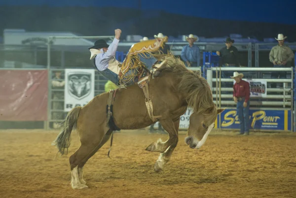The Clark County Fair and Rodeo - Stock Image - Everypixel