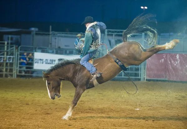 The Clark County Fair and Rodeo - Stock Image - Everypixel
